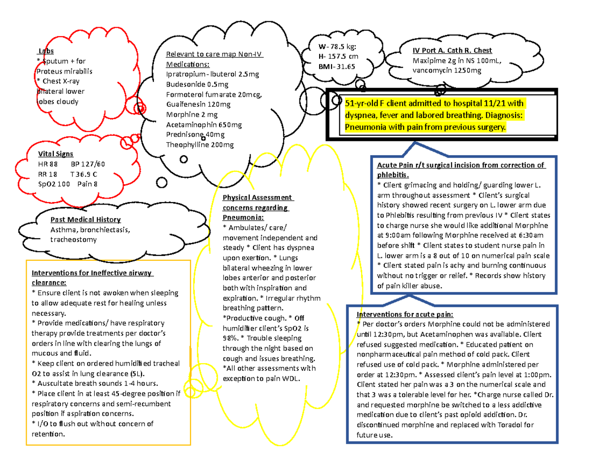 Care Map Acute Pain and Pneumonia - 51-yr-old F client admitted to ...