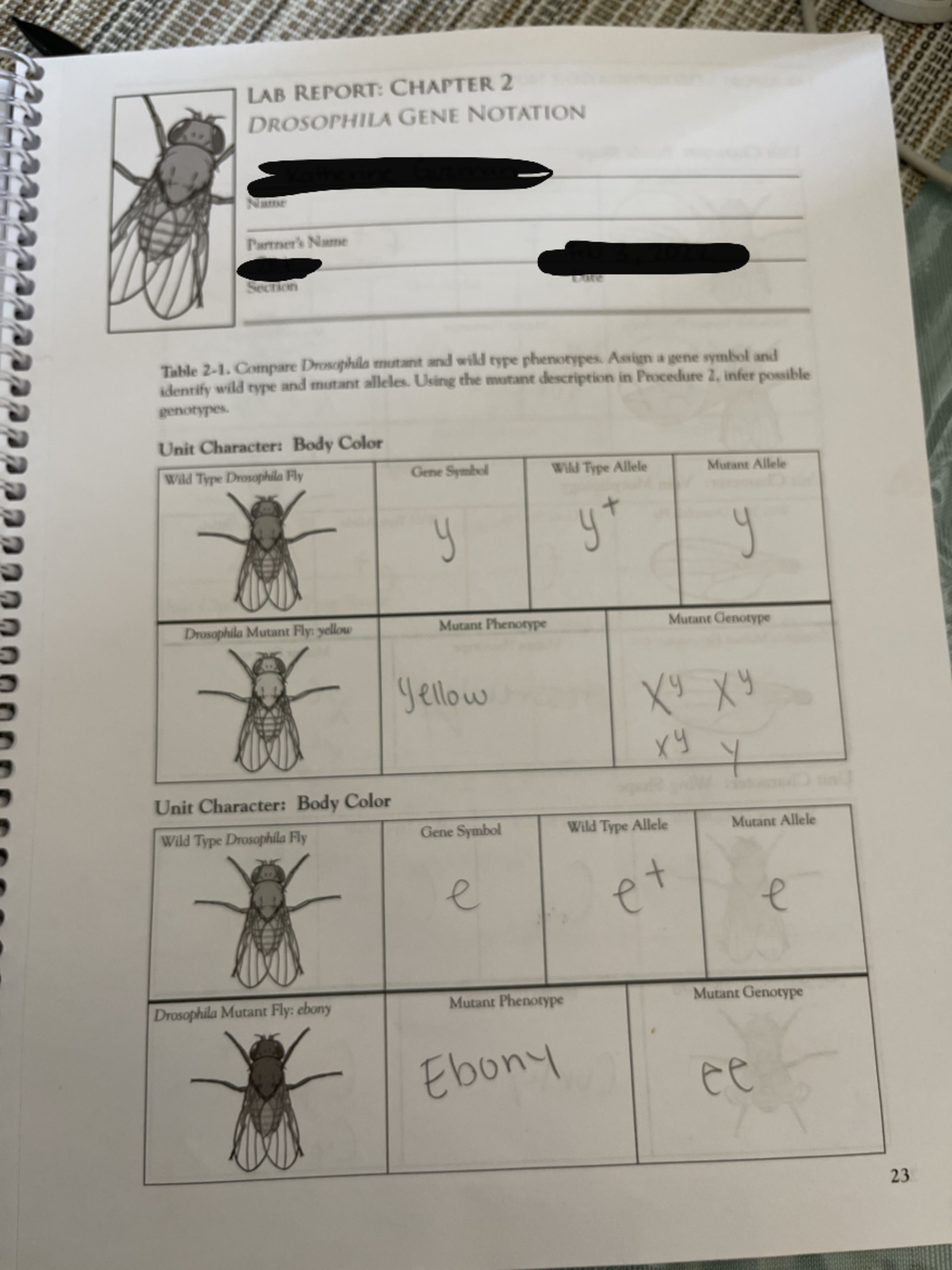 Drosophila gene notation - BIOL 311 - Studocu