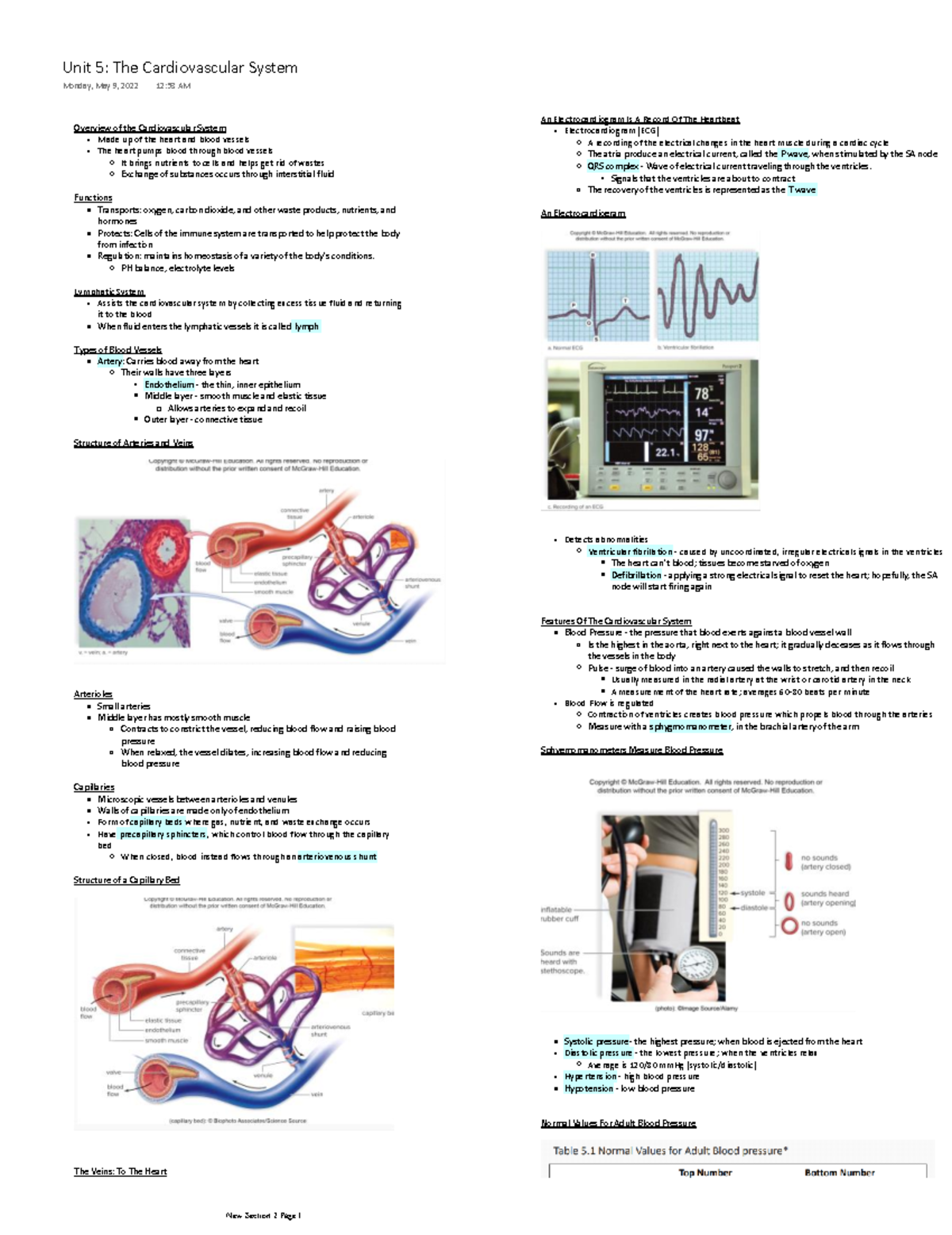 Unit 5 The Cardiovascular System - Overview of the Cardiovascular ...