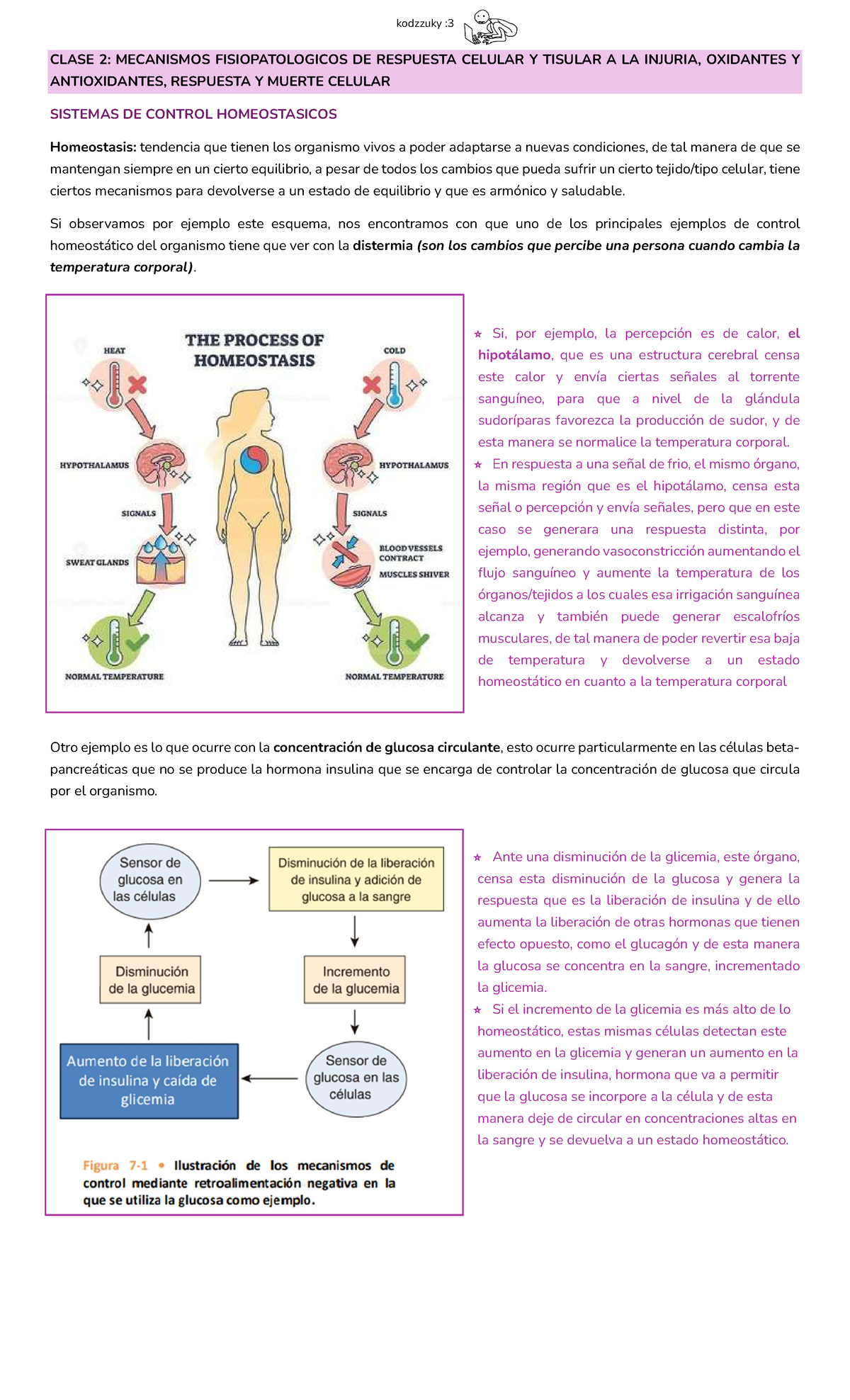 Clase 2 - CLASE 2: MECANISMOS FISIOPATOLOGICOS DE RESPUESTA CELULAR Y ...