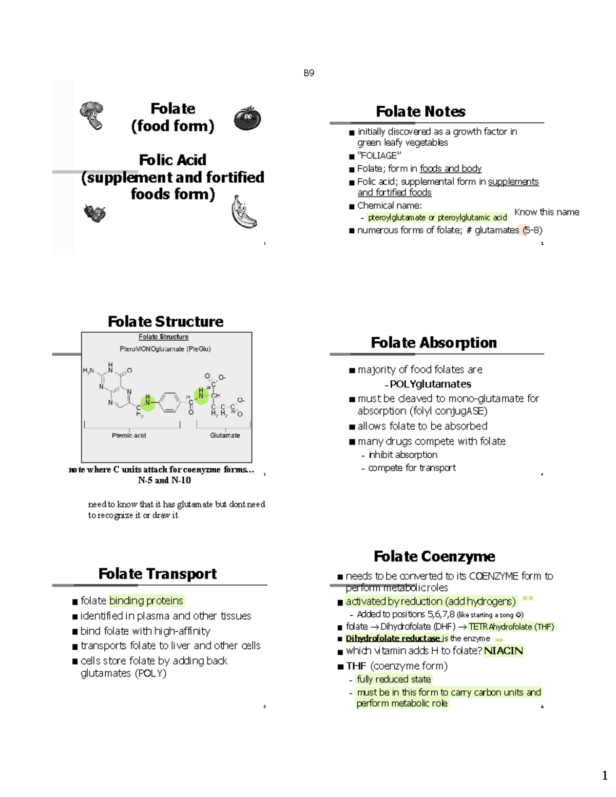 6 nutr333 23 check Folate 6 - Folate (food form) Folic Acid (supplement ...