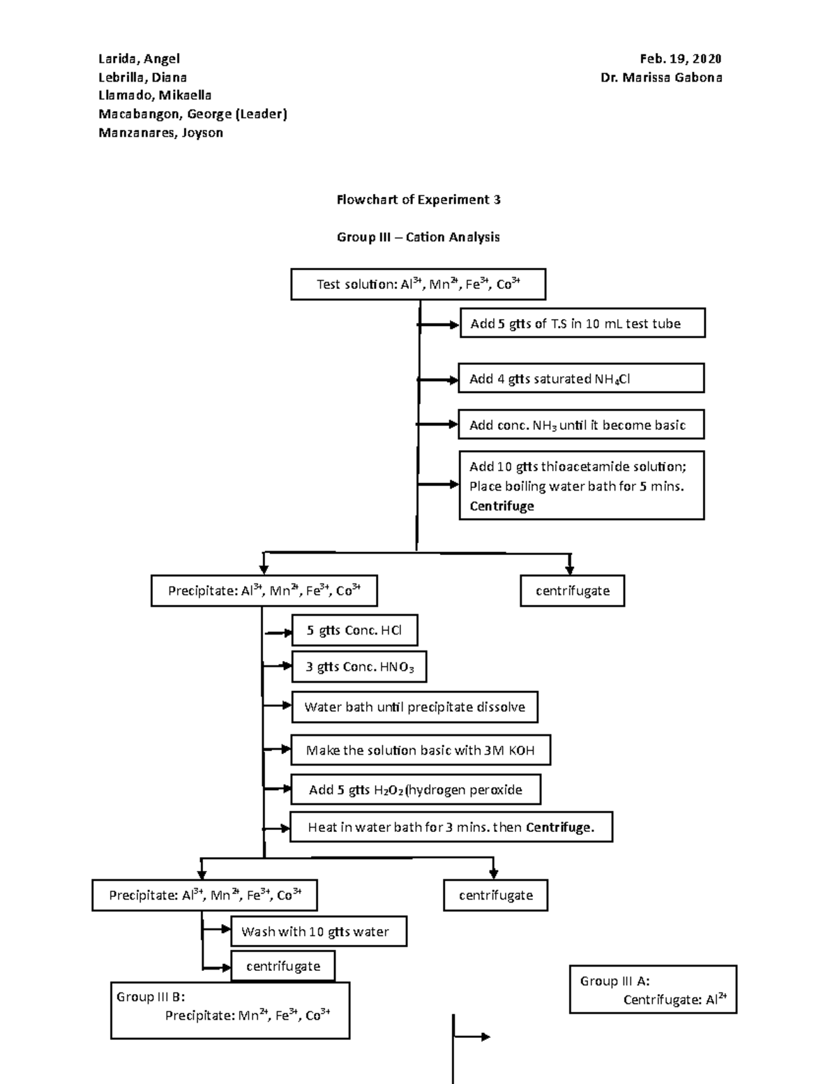 Experiment 3 - A flowchart about cation analysis procedure - Chemistry ...