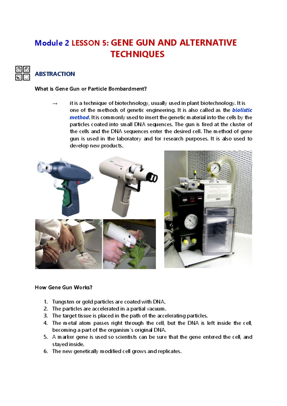 Module 2 Lesson 5 Gene Gun and Alternative Techniques - Module 2 LESSON 5: GENE GUN AND ...