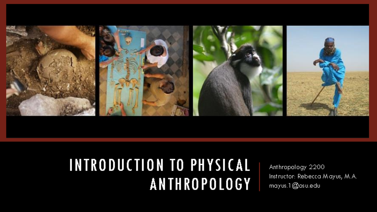1 Introduction to Physical Anthropology and Syllabus ...