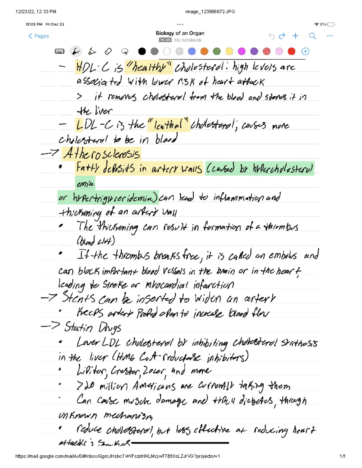 Studocunotes 2 - These are detailed notes on a virtual lecture from my ...