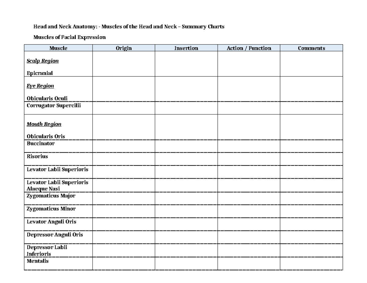 HN-Muscles-Summary Chart Worksheet - Head and Neck Anatomy: - Muscles ...