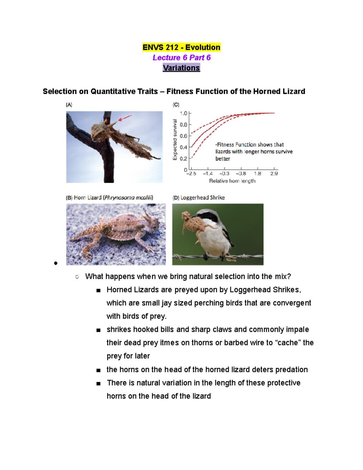 ENVS 212 Lecture 6 Part 6 - Spring 2020 - ENVS 212 - Evolution Lecture 6 Part 6 Variations ...