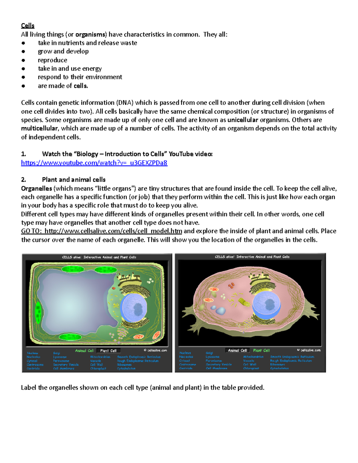 Copy of Cells - Yr 9 - Cells All living things (or organisms) have ...