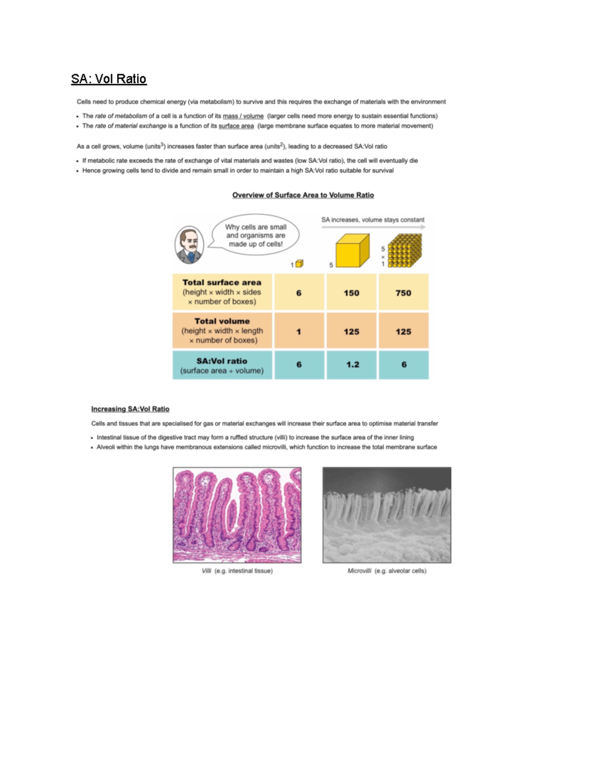 Cell Biology: Cell Introduction - SA: Vol Ratio - BIS 2A - SA: Vol ...