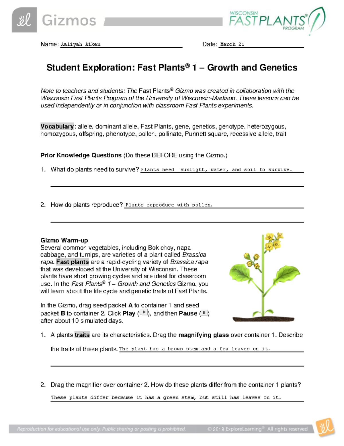 Fast Plant Gizmos - Name: Date: Student Exploration: Fast Plants® 1 ...