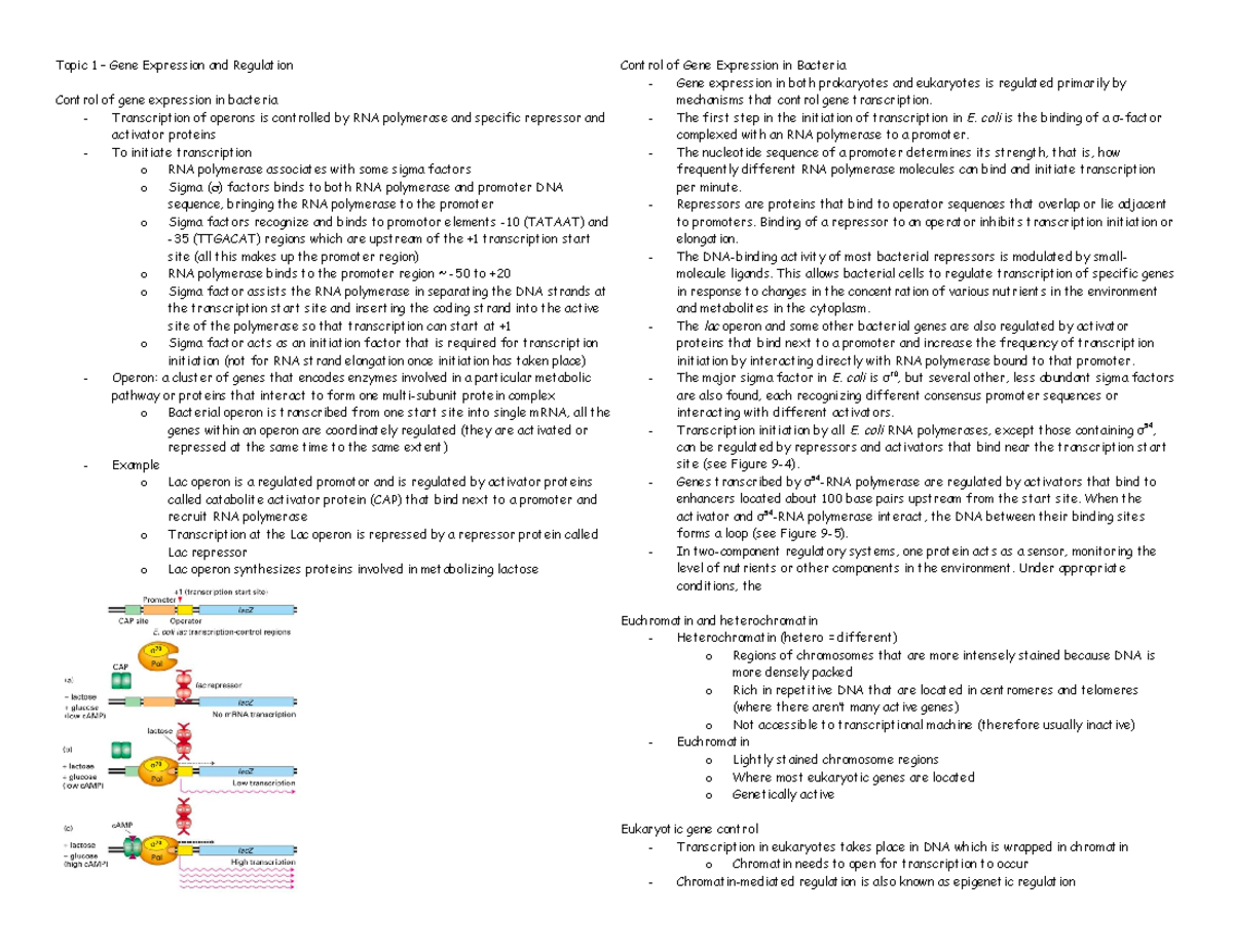 Lecture notes - Topic 1 – Gene Expression and Regulation Control of ...