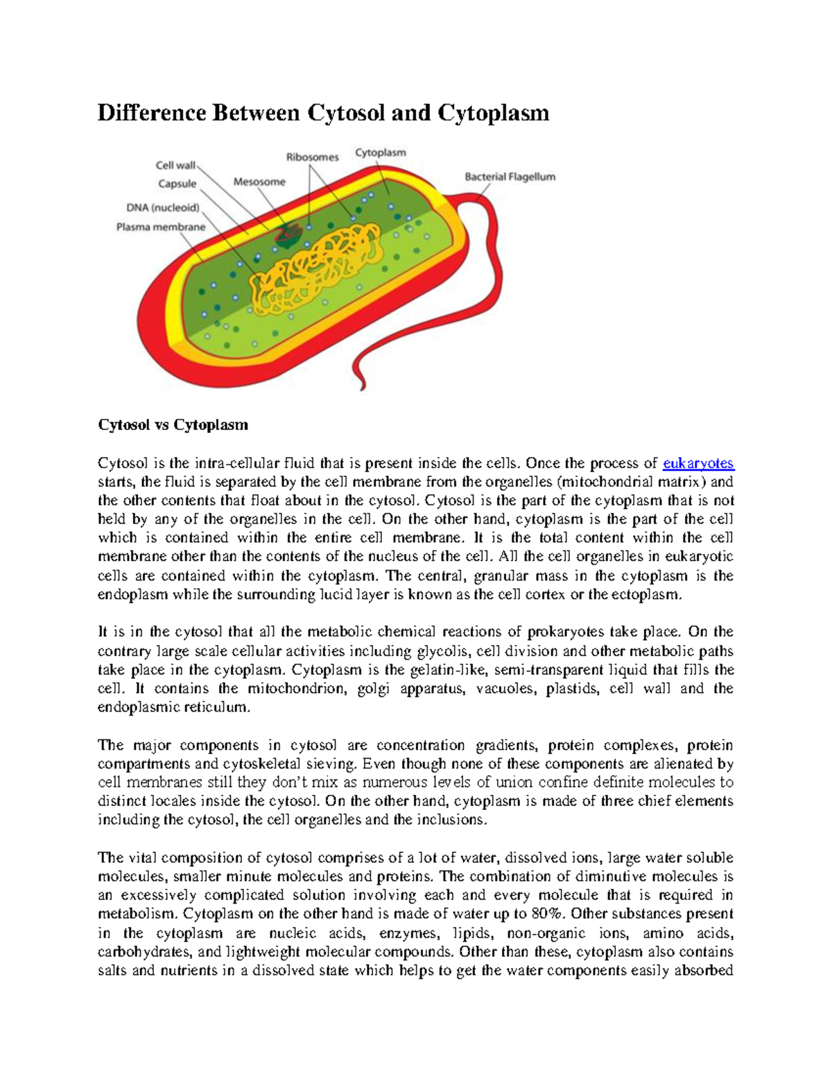 BIO101 Difference Between Cytosol and Cytoplasm - Difference Between ...