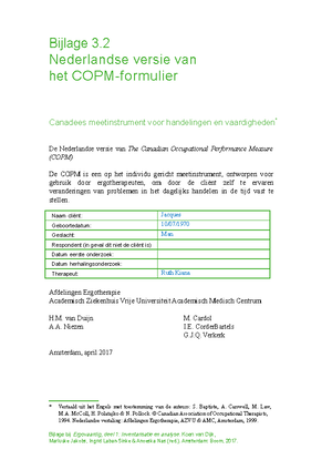 Sjabloon ICF-formulier(1) Nola als voorbeeld van een correct ingevuld ...