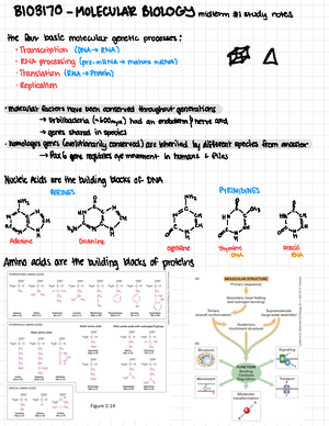 Module 3 Practice Problems BIO&BCH3170 FALL 2020 Solutions - Module 3 ...