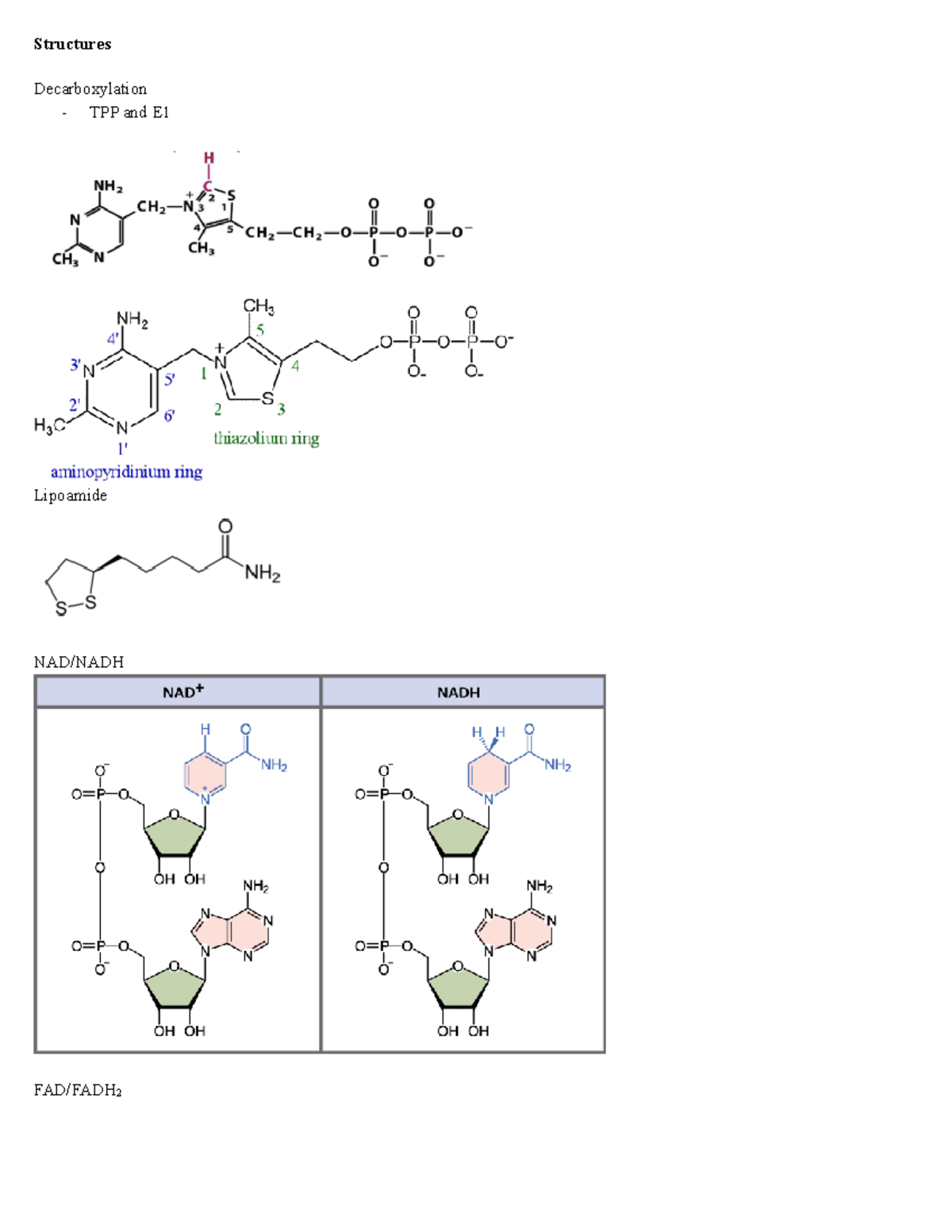 Biochem Structures - Structures Decarboxylation TPP and E1 H NH 2 C S ...