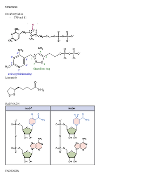 Biochemistry Enzyme Inhibition Notes - BSCI2520 - Studocu