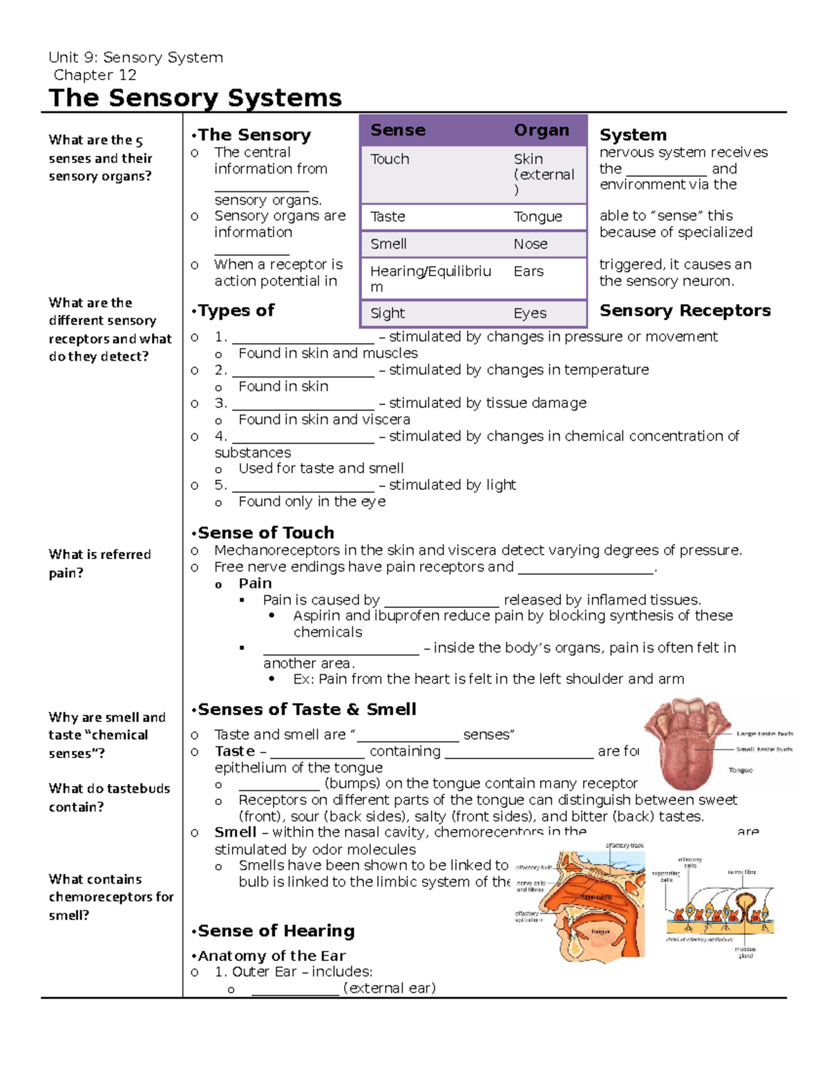 Special Senses Fill it in Notes - Chapter 12 The Sensory Systems What ...