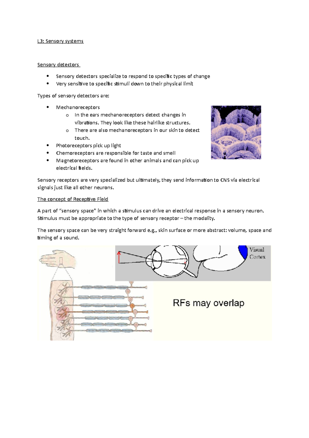 Neuroscience and behaviour L2 - L3: Sensory systems Sensory detectors ...