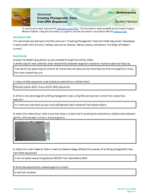 Pogil Cell Membrane Structure and Their Functions - Cells: Membrane ...