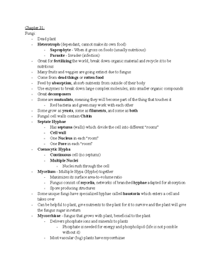Biology II Lab - Macromolecules → Cells → Tissues → Organs → Organ ...