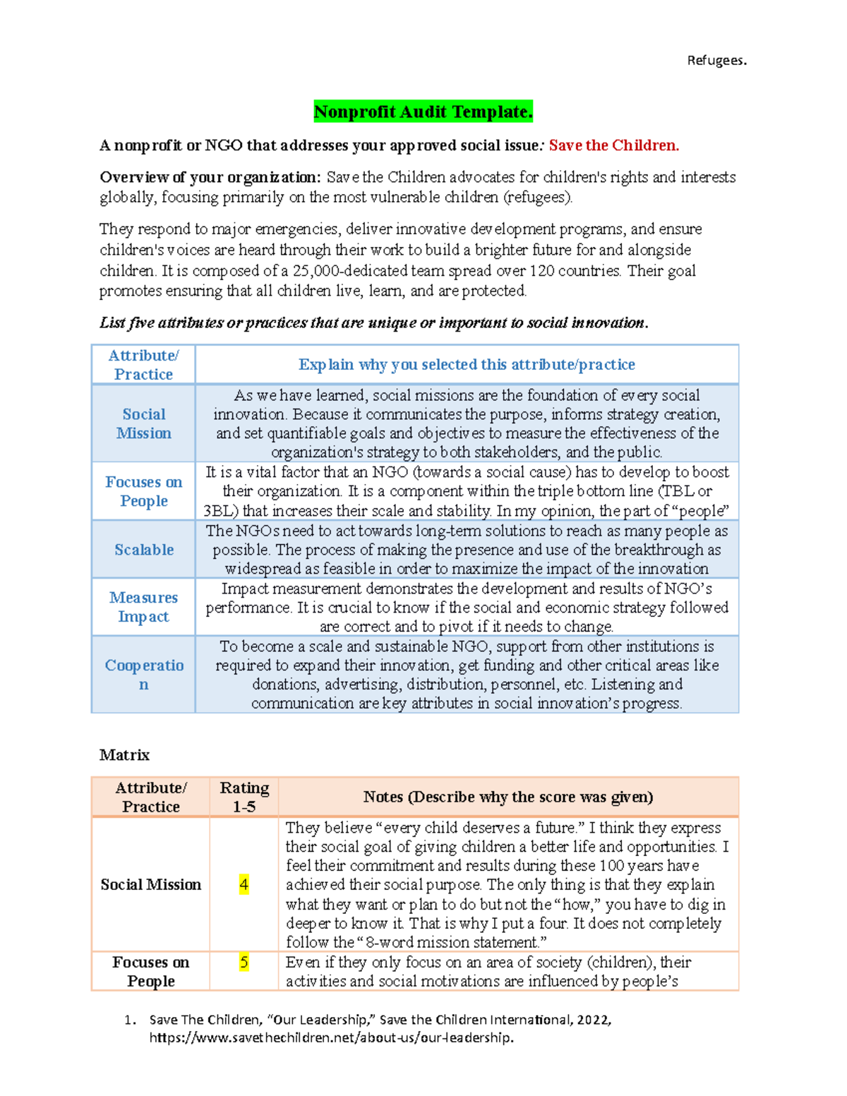 NGOs Audit - Refugees. Nonprofit Audit Template. A nonprofit or NGO ...