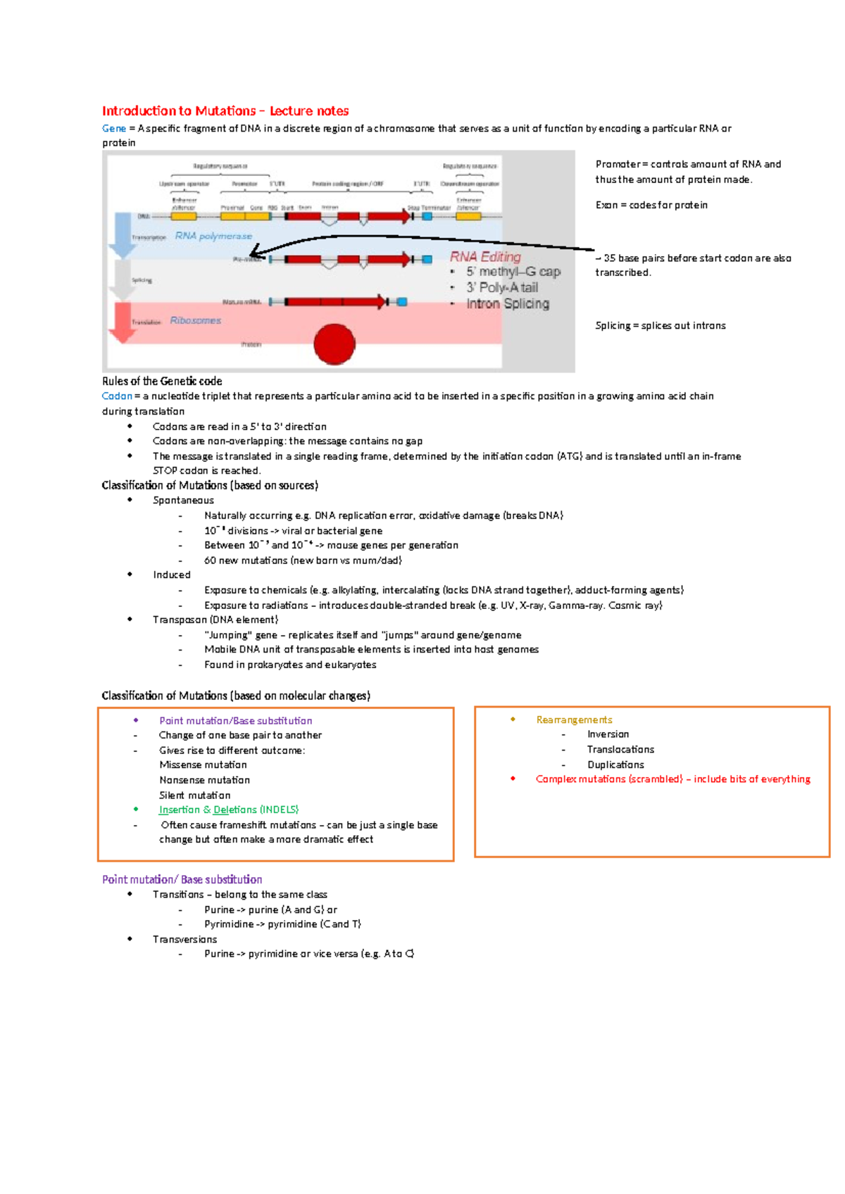 Introduction To Mutations Classification Of Mutations Based On