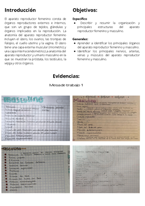 Formato ST-2, Dictamen de alta por riesgo de trabajo - GD^G^^M FOPGGD^G ...