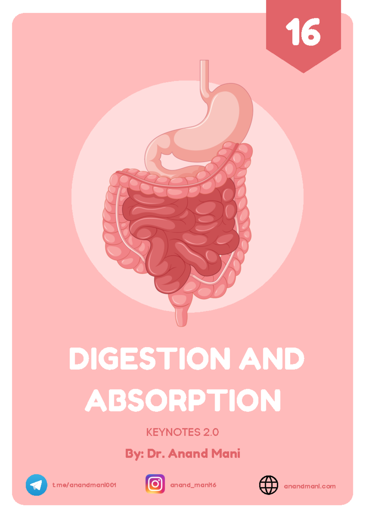 Digestion and absorption - DIGESTION AND ABSORPTION 16 KEYNOTES 2. By ...
