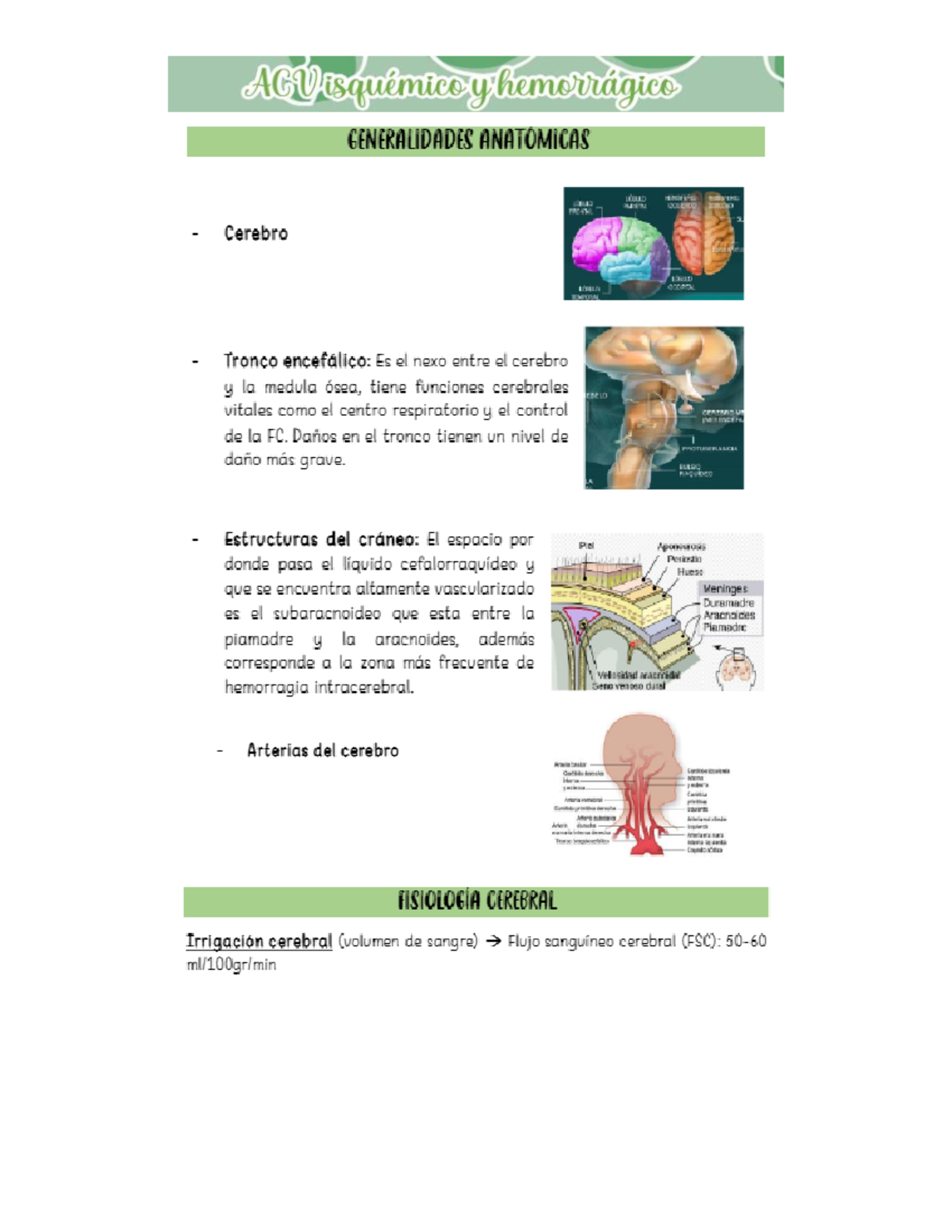 ACV - Info resumen de ACV - Urgencias - Studocu