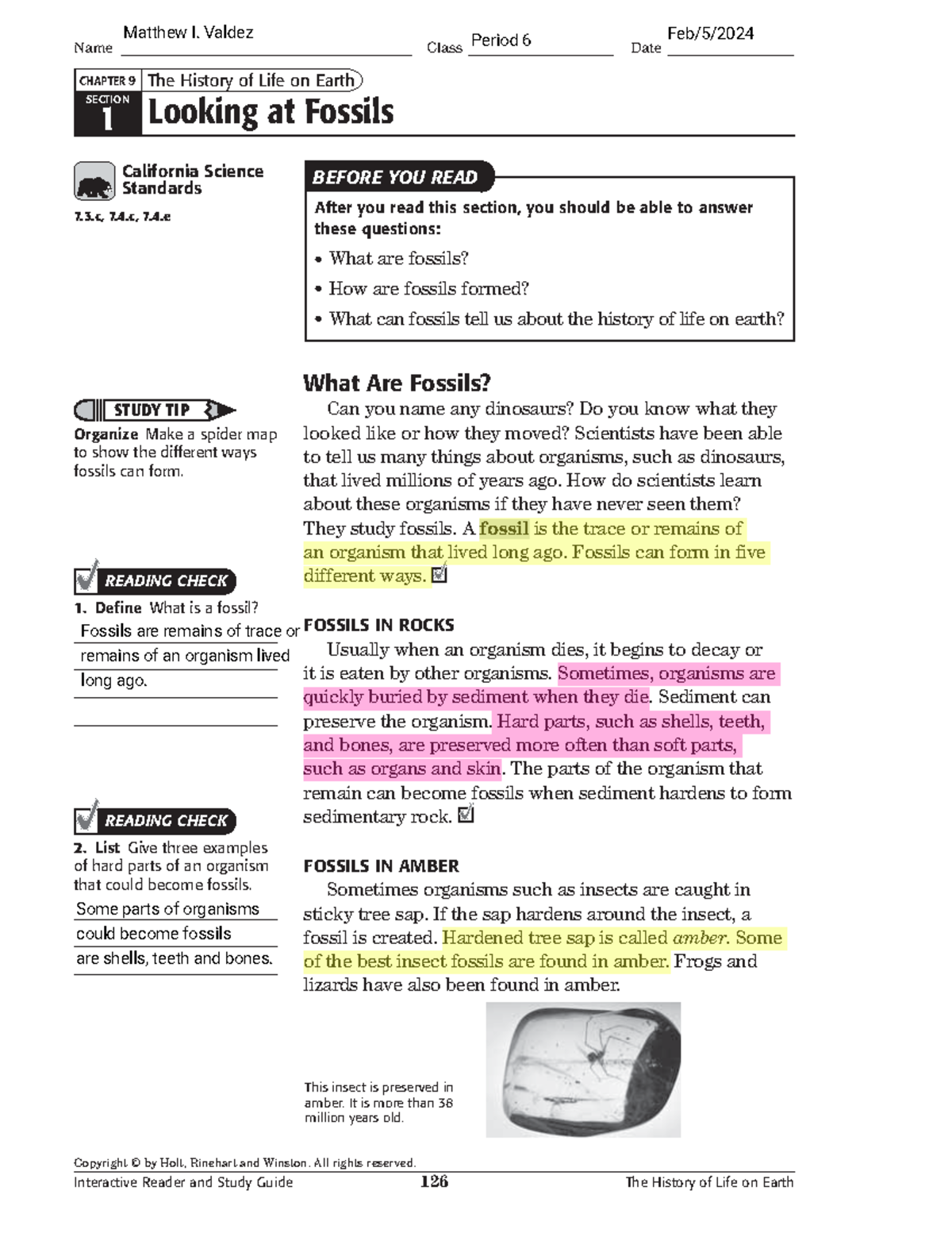 Fossil Record Packet - Copyright © by Holt, Rinehart and Winston. All ...