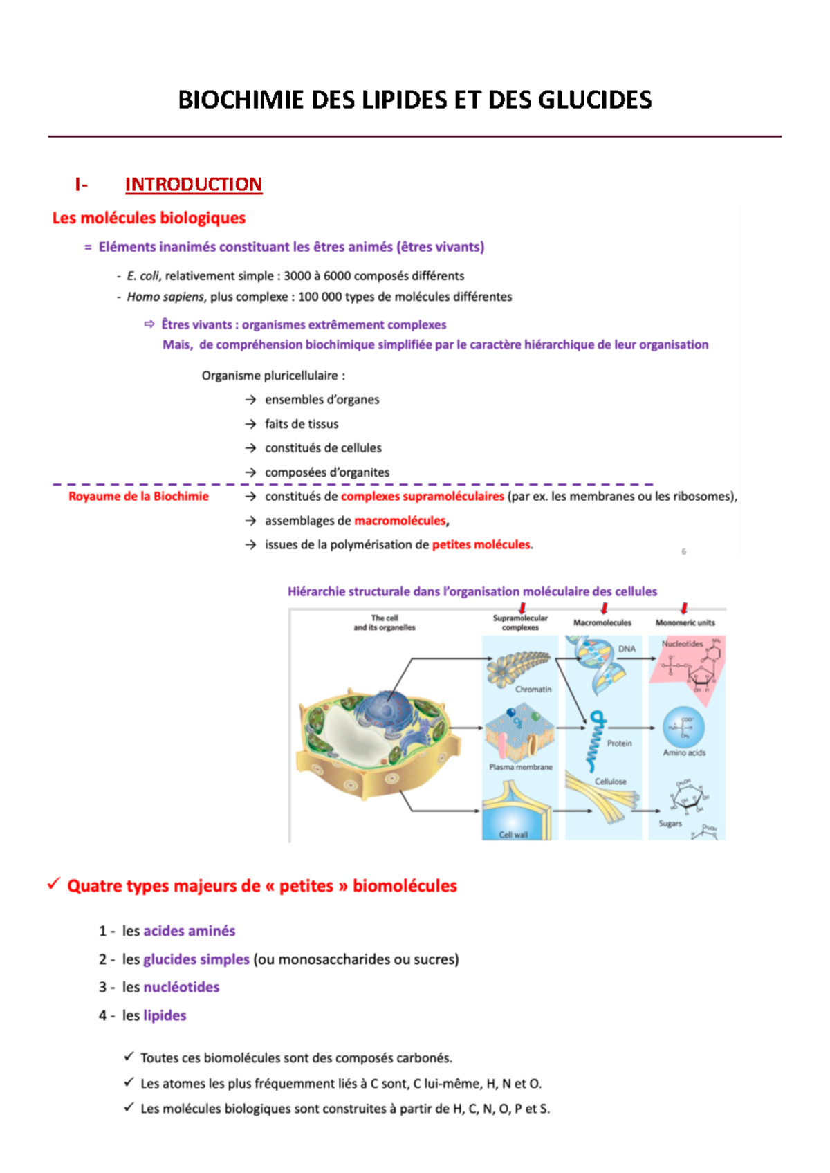 Les lipides - Cours - Biochimie - BIOCHIMIE DES LIPIDES ET DES GLUCIDES ...