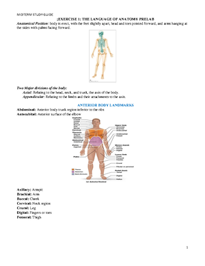 Chapter 9 Muscle and Muscle Tissue Study Guide - Anaerobic respiration ...