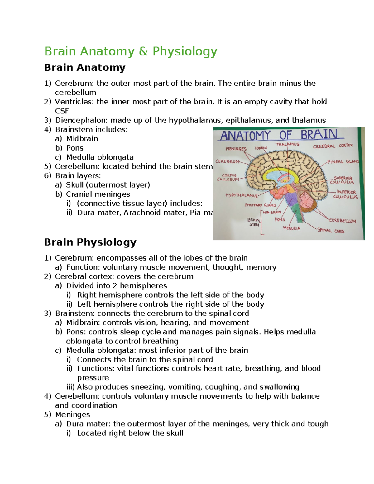 Med Surg Lecturio - med surg notes - Brain Anatomy & Physiology Brain ...