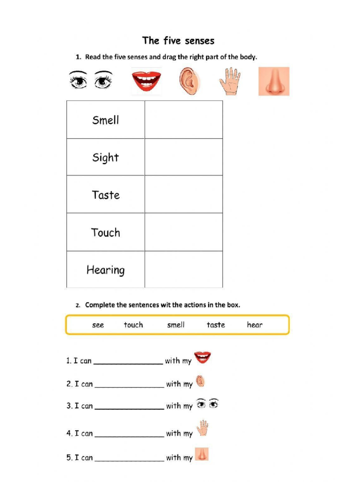 Science 5 senses worksheets - Teacher Education - Studocu