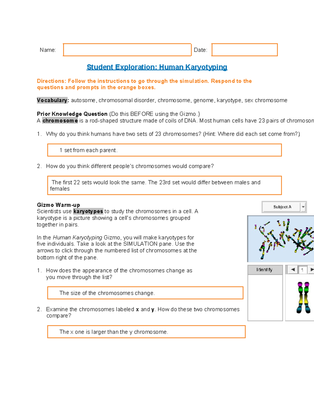 Human karyotypes gizmo - Name: Date: Student Exploration: Human ...