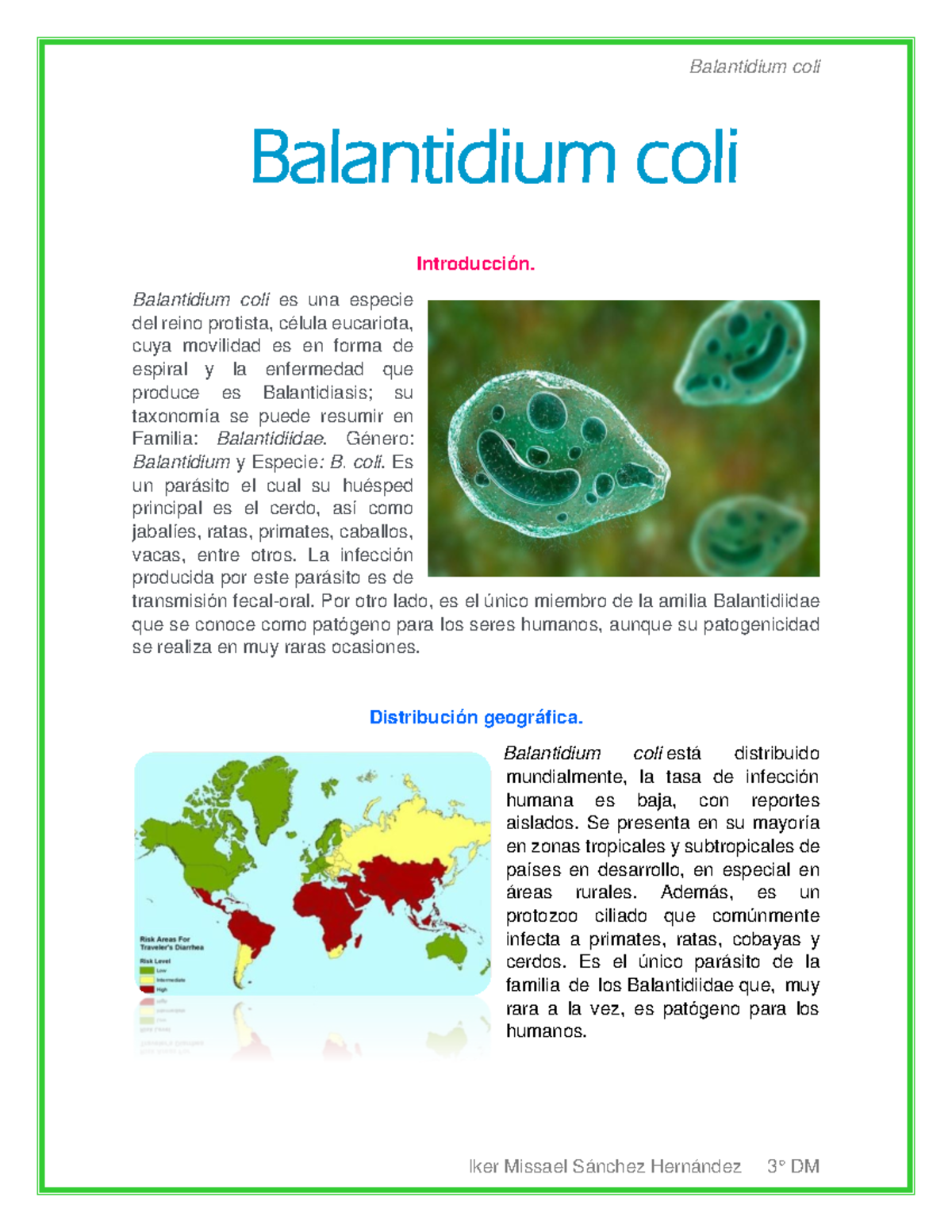 Balantidium coli. - Warning: TT: undefined function: 32 Introducción ...