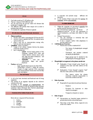 Pathology - Human Anatomy and physiology with pathophsiology - BACHELOR ...