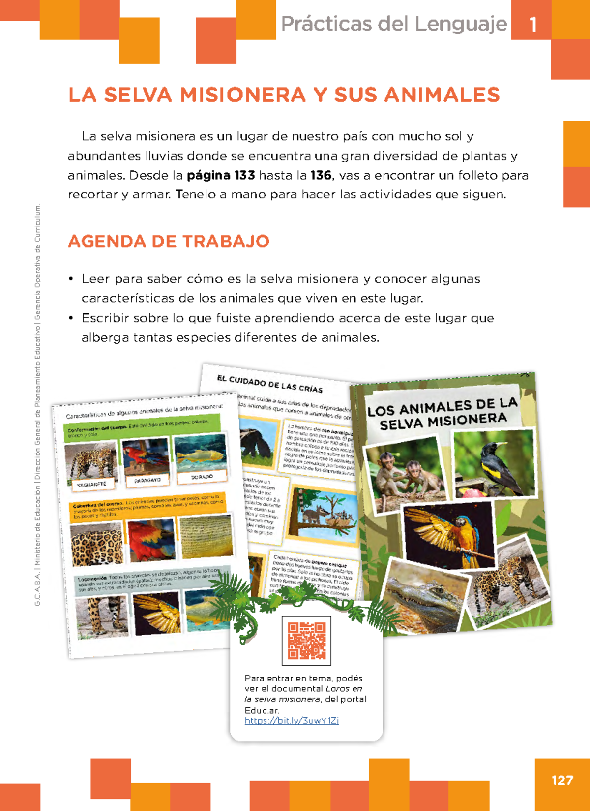 Animales de la selva misionera en el Estudiar y Aprender - G.C.A.B ...