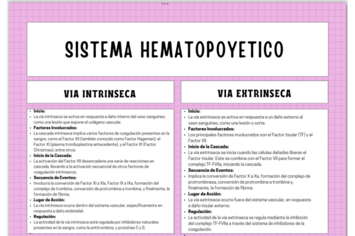Hematopoyetico vía intrínseca y vía extrínseca - Sistema Hematopoyético ...