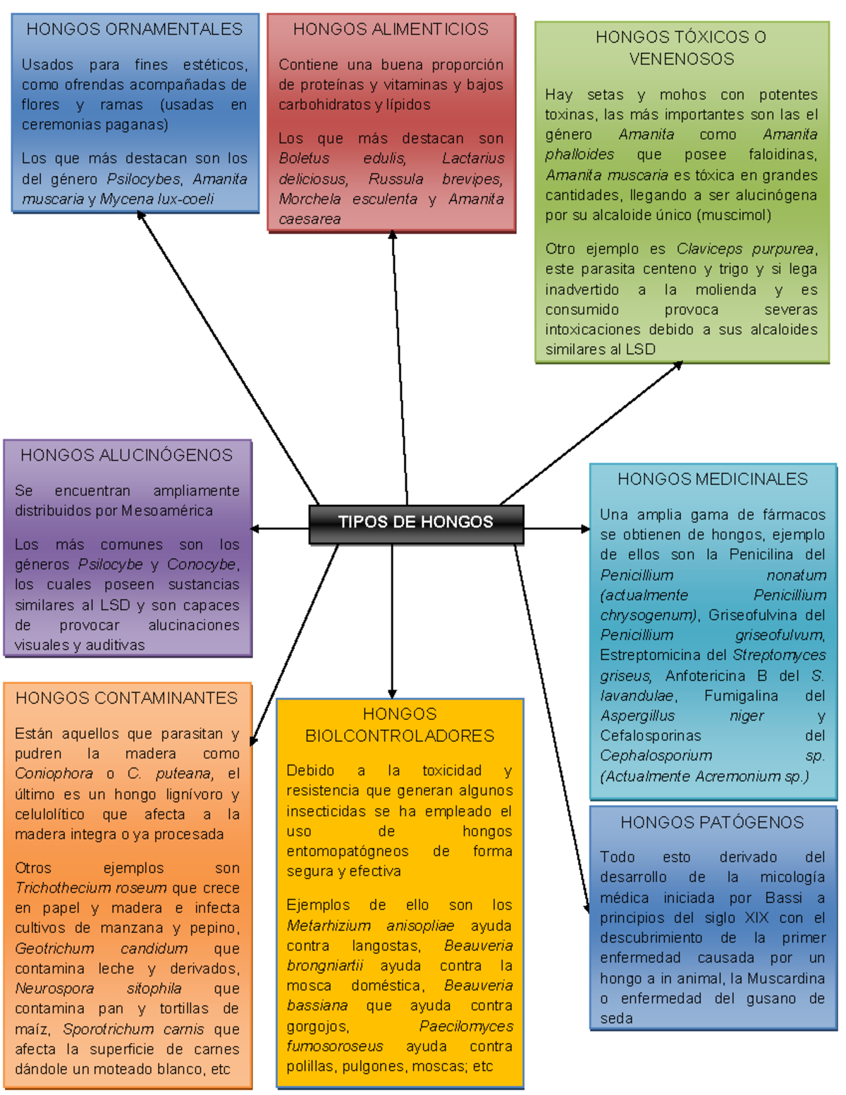 Hongos - UwU - TIPOS DE HONGOS HONGOS ORNAMENTALES Usados para fines ...