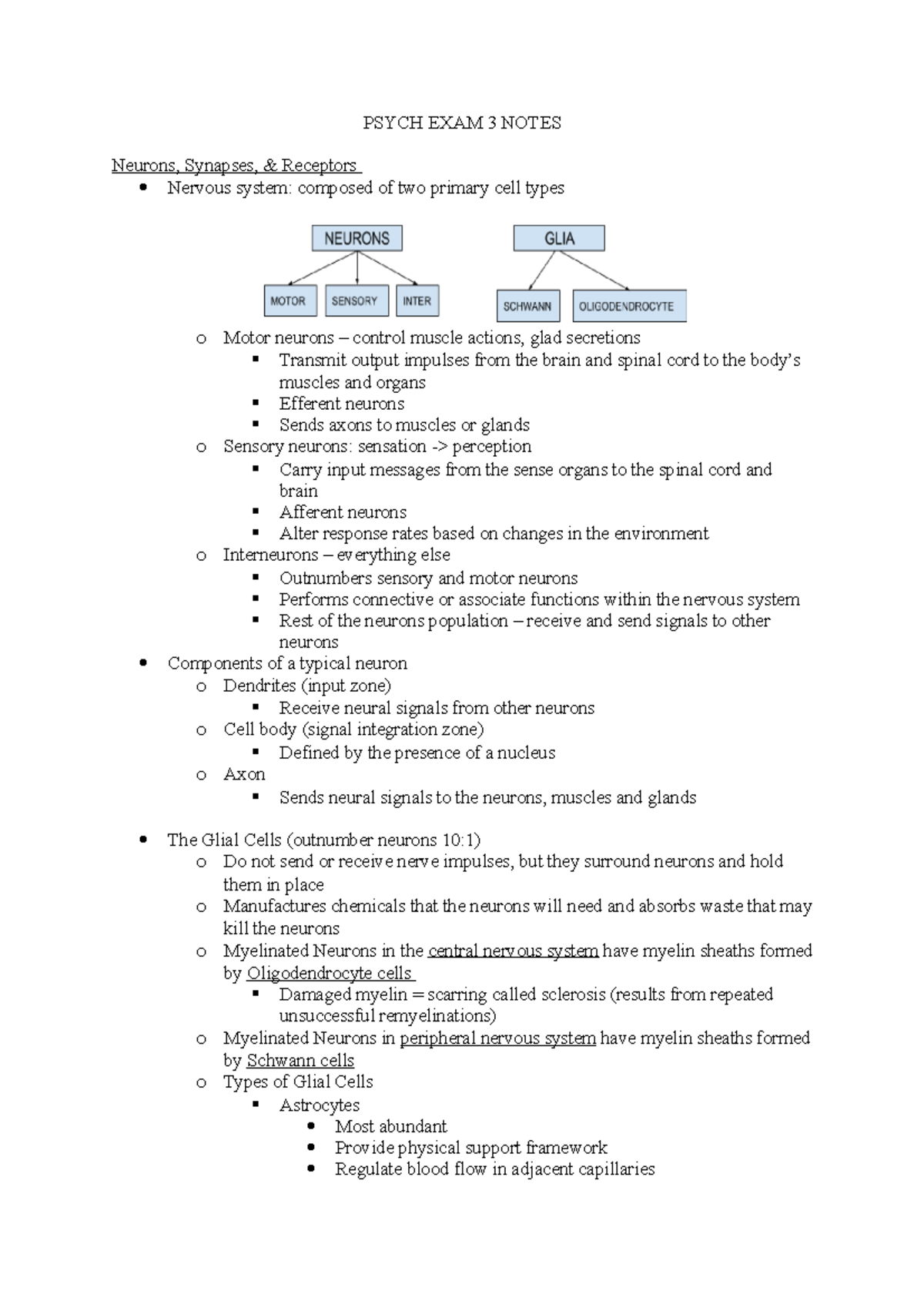 Psych Exam 3 notes - Study guide for exam - PSYCH EXAM 3 NOTES Neurons ...