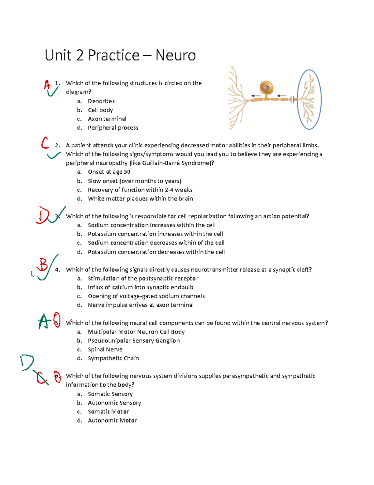 Unit 2 practice questions - Unit 2 Practice 3 Neuro Which of the following structures is circled ...
