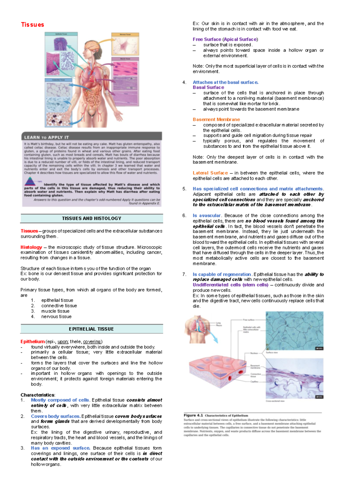 Chapter 4 Tissues - Tissues TISSUES AND HISTOLOGY Tissues – groups of ...