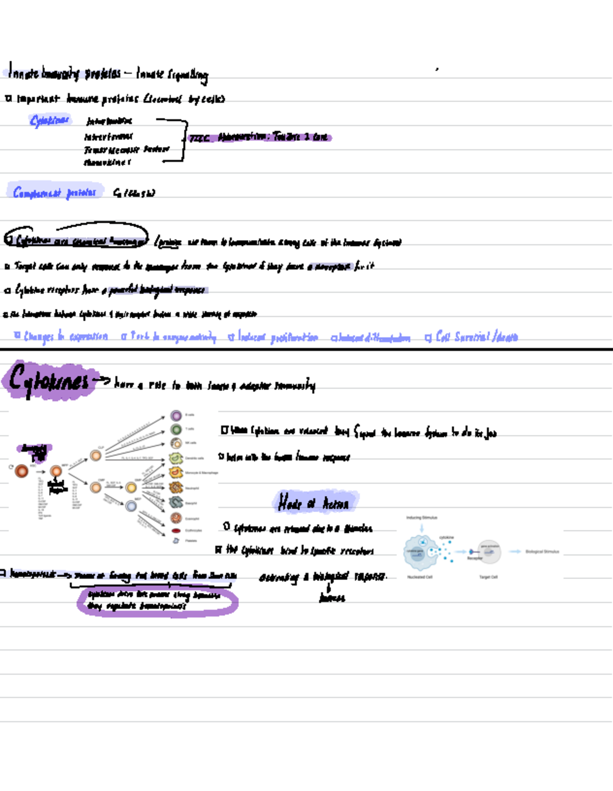 Innate Immunity Part 3 - Notes - Innate 2 Immunity proteins - Innate ...
