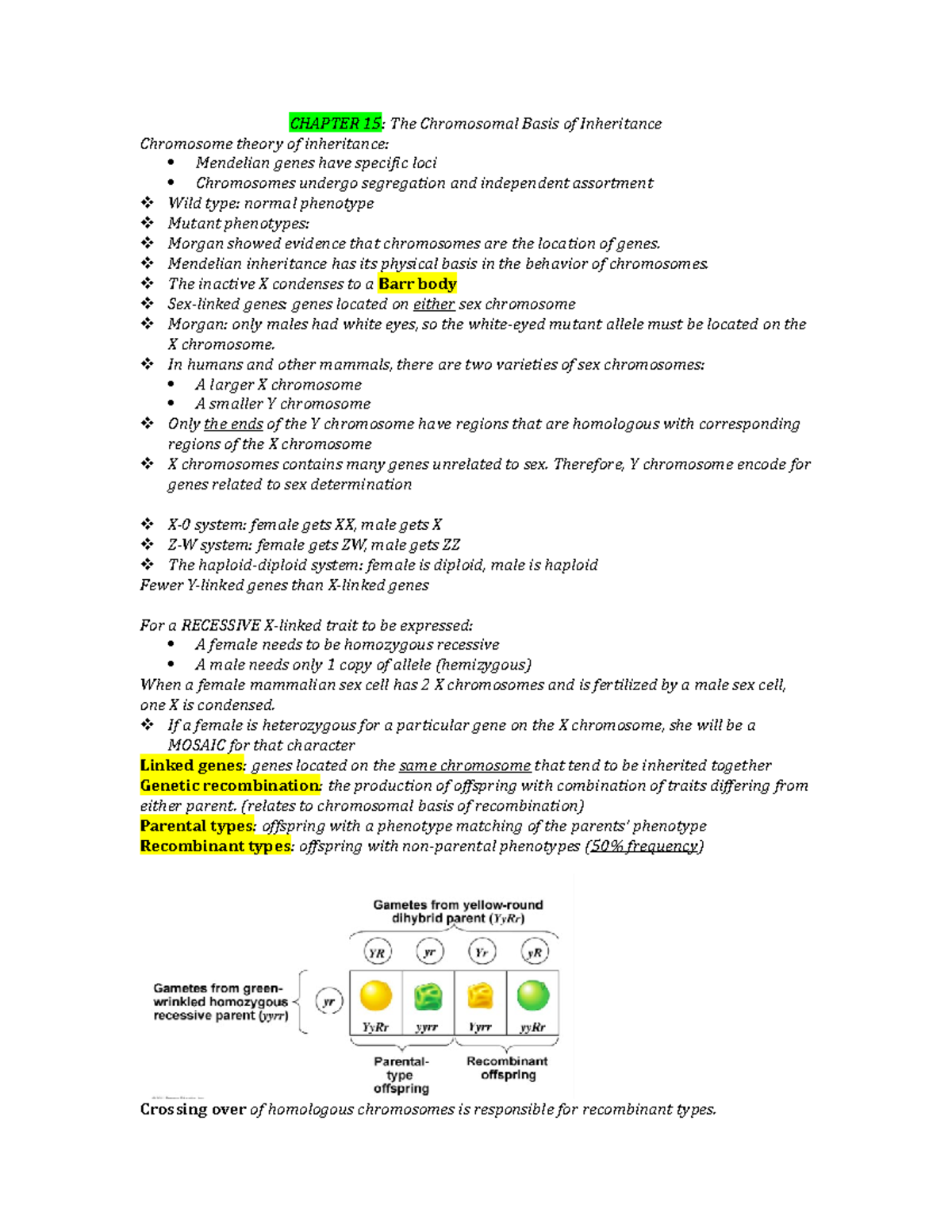 BIO CH15-17 - Summary CELL AND MOLECULAR BIOLOGY - CHAPTER 15: The ...