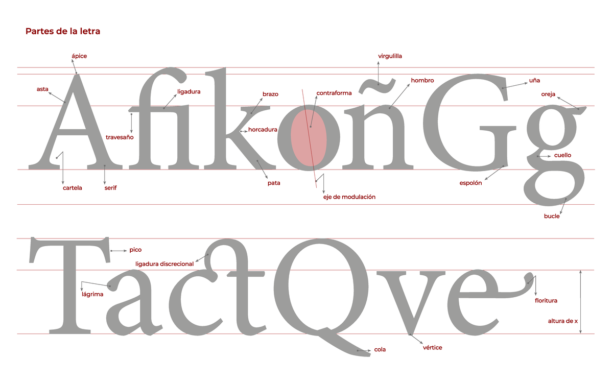 Partes de la letra - Imagen, Tipografía e Identidad Cultural - Studocu