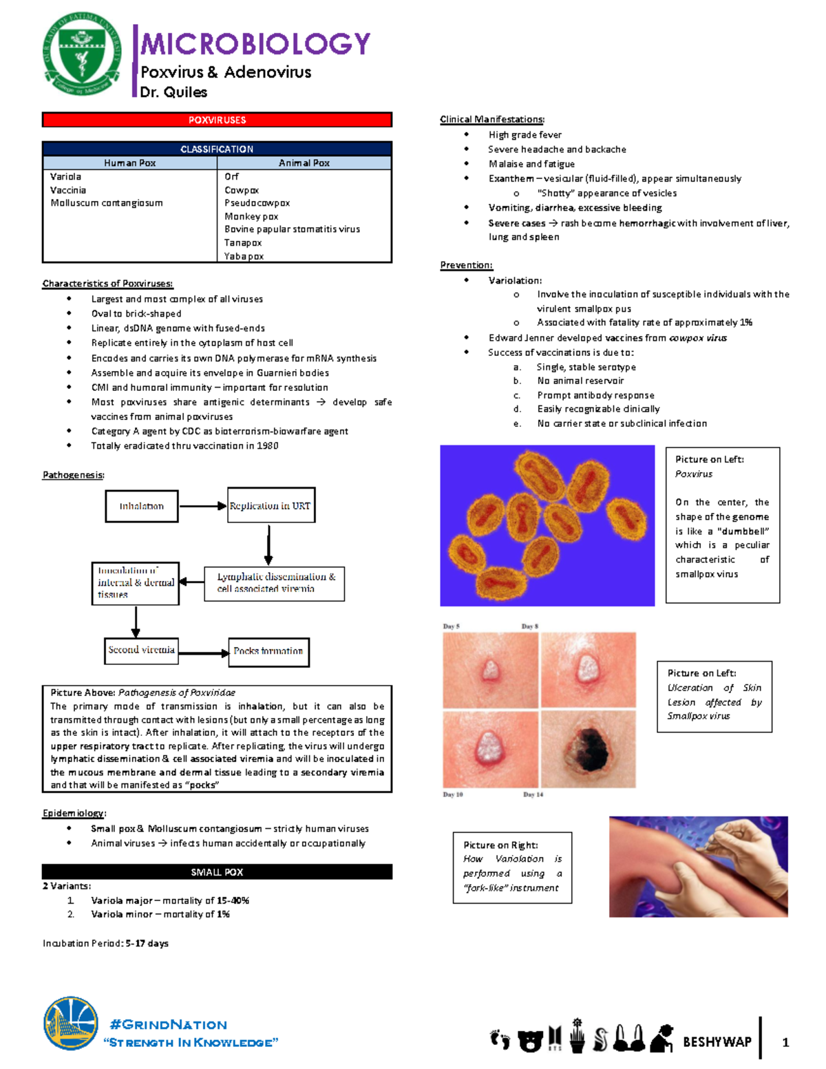 Poxvirus and Adenovirus (MICROBIO) - MICROBIOLOGY Poxvirus & Adenovirus Dr. Quiles #GrindNation ...