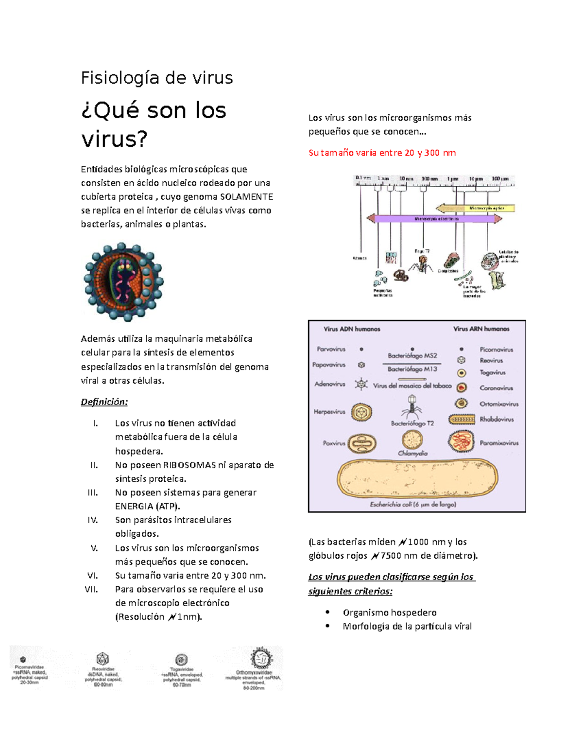 Os Virus Sao Conhecidos Como Entidades Biológicas E Sao Constituidos ...
