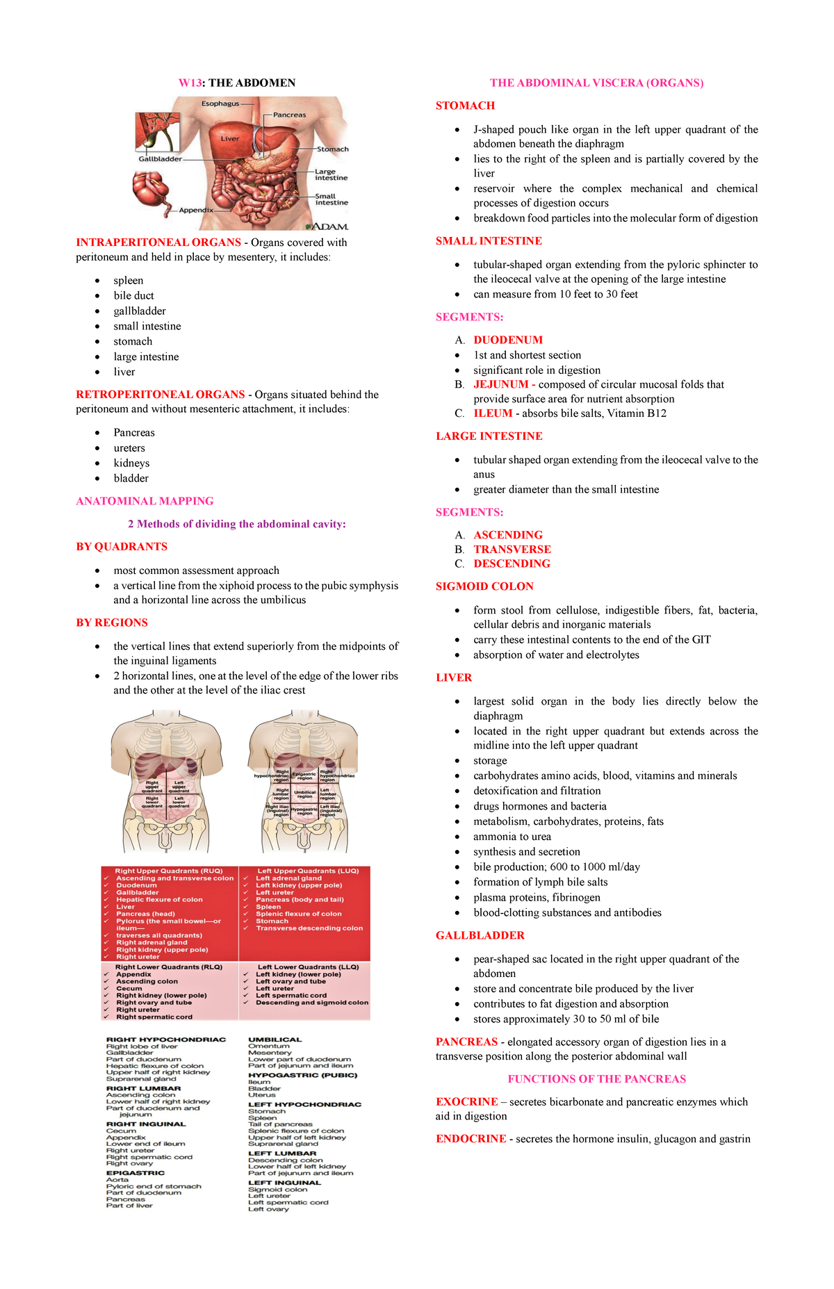 HA- Finals-REV - Reviewer finals - W13: THE ABDOMEN INTRAPERITONEAL ...