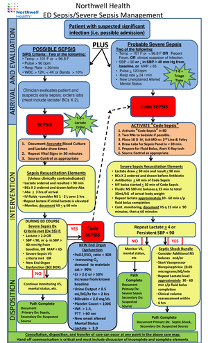 Medical Surgical Nursing Chapter 21 Cardiovascular System Function ...